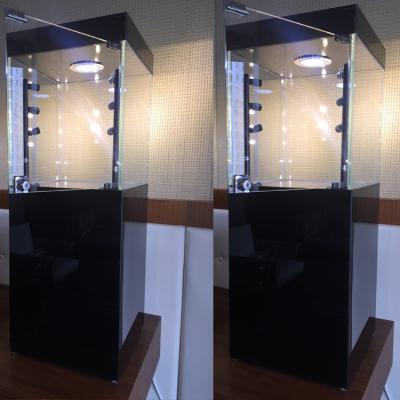 China Custom simple black mdf black jewellery case display,black glass display case for sale