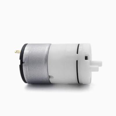 Cina Motore a doppio albero da 2 mm 3V RK-520TC-3190 4000Rpm Motore CCW per mini pompe a pressione in vendita