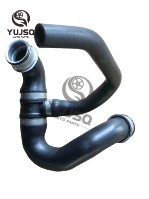 中国 Benz用のホース 9065011482 販売のため