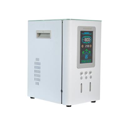 Cina Generatore di idrogeno Macchina multifunzione di inalazione dell'idrogeno per la salute VST-XH4-600/1200 in vendita