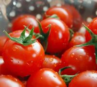 China Fresh Tomato Puree Processing Line 6.5tons/Hour for sale