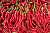 China Fresh Chili Pepper Suace Fruit And Vegetable Processing Line Automatic for sale