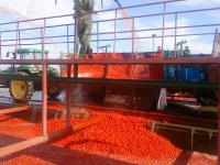 China Fresh Tomato Puree Processing Line Customization High Capacity 6.5t/H for sale