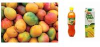 China 500kg/h Mango Pulp Processing Line Film Packing Mango Pulp Processing Machinery for sale