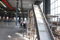 China Aseptic Mango Pulp Filling Machine Destone Mango Pulp Processing Plant 220V / 380V / 415V for sale