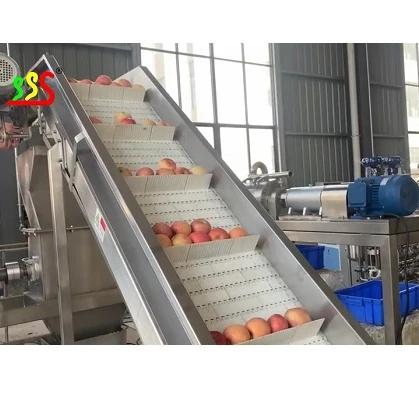 Linea di trasformazione della frutta in acciaio inossidabile di grado alimentare con imballaggio automatico
