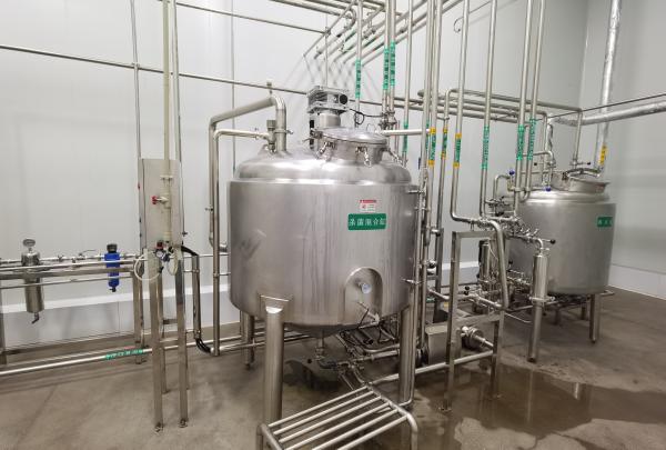 Linea di trasformazione della frutta in acciaio inossidabile di grado alimentare con imballaggio automatico