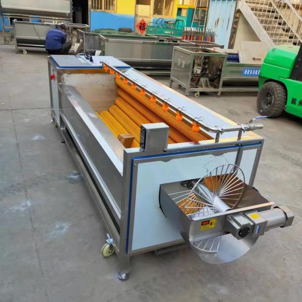 Linea di trasformazione della frutta in acciaio inossidabile di grado alimentare con imballaggio automatico