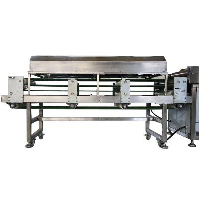 China 50hz Tortilla Production Line Equipped  for Tortilla Manufacturing in Food Processing Plants for sale