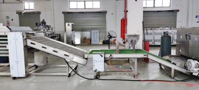 중국 슈나이더 전기 부품으로 완전 자동 밀가루 토틸라 생산 장비 판매용