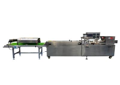 China Linha de produção da tortilha 1000pcs/h do aço 300mm de Stainlesss à venda