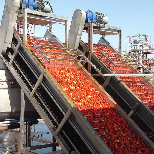 6.5tons pro Stunden-rohe Tomatenkonzentrat-Fertigungsstraße