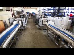 Paratha production line overview
