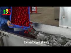 De Verwerkingslijn 6,5 Ton/Uur van de UHT-sterilisatie Verse Ruwe Tomatenpuree