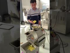 Automatische Dobbelende de Verwerkingslijn 30 van de Fruitgroente - 1000kg/H