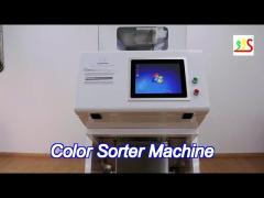Máquina de clasificación de colores de alta capacidad AI 5 para maíz/maíz/trigo/arroz/ frijoles/granos línea de productos alimenticios