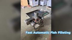 Small Fish Visceral Removal Machine Efficient Filleting
