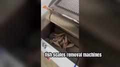 fish scale machine