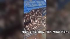 Fish Meal Plant