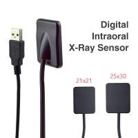 China Digital Intraoral X-Ray Sensor for sale