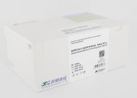 China Immunofluorescent Fast Antigen Rapid Test Kit , 8mins IgM IgG Rapid Test Kits for sale