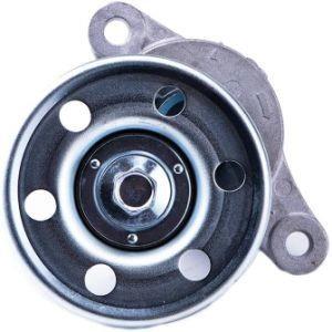 Cina Servizio post-vendita Sì Pulley 17540-77E00 per Suzuki Sx4 Aerio Vitara Esteem in vendita
