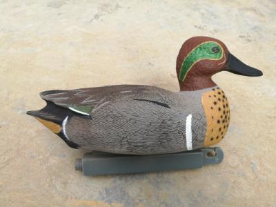 China Pro series Green Winged Teal Duck Decoy Floatie for hunting from China duck decoy factory 12pk for sale