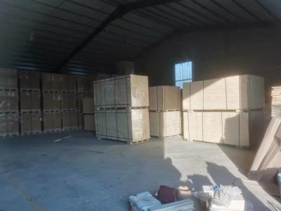 Cina Fabbricazione a doppio lato di pannelli di rivestimento a rivestimento 4x8 di compensato di betulla per mobili in vendita