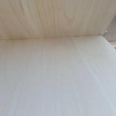 Cina Dimensioni personalizzate Tavola comune a dita di legno Paulownia con legno massello in colore naturale in vendita