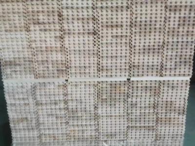 Cina Aggiornate le vostre attrezzature di apicoltura con la moderna cassa apiaria 4 cornici e 7 cornici incluse in vendita