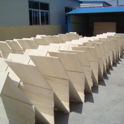 Cina Paolownia in legno massello ecologico in vendita