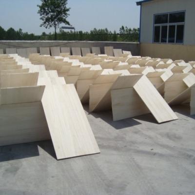 Cina Paolownia in legno massello ecologico in vendita