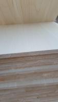 China Paulownia Board Good Service and Capable Workshop with Project Solution Capability for sale