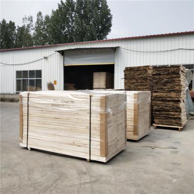 Cina Legno di paolownia per mobili Disegno contemporaneo e lavorazione artigianale in vendita