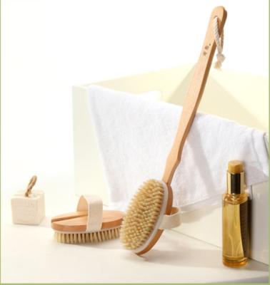 Cina Esfolii il lisciamento della spazzola naturale del corpo del bagno della pelle per la parte posteriore in vendita