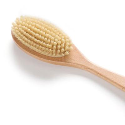 China Exfoliate Compact Bath Body Brush Cleaning Body for sale