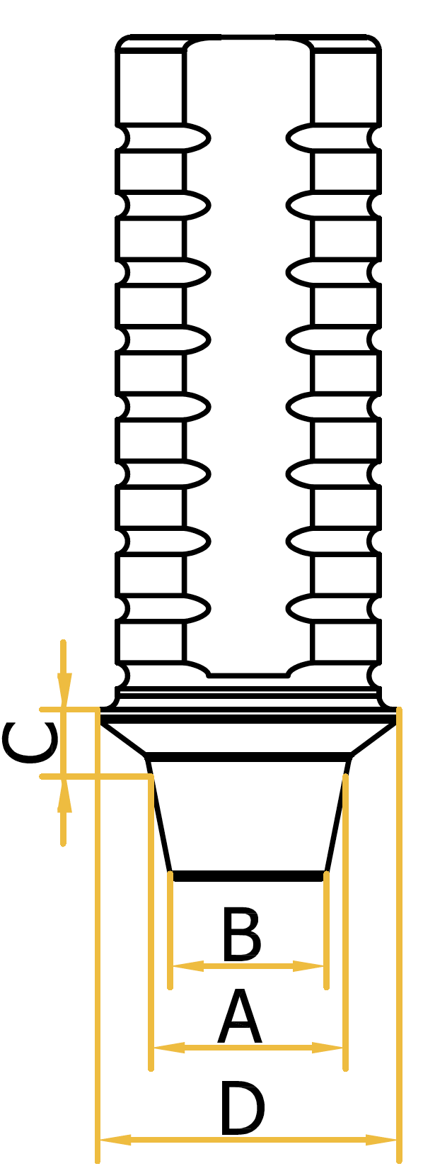Pilar Ang- Con-Bl.png