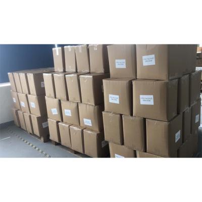 Cina Borsa di cadavere impermeabile di stile europeo con il materiale di PEVA & del PVC in vendita