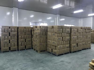 Cina Peso non tessuto del carico di stoccaggio 160kg del cadavere della borsa di cadavere in vendita