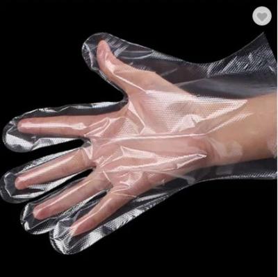 Cina Chiari guanti di plastica trasparenti eliminabili, guanti di plastica della cucina del oilproof in vendita
