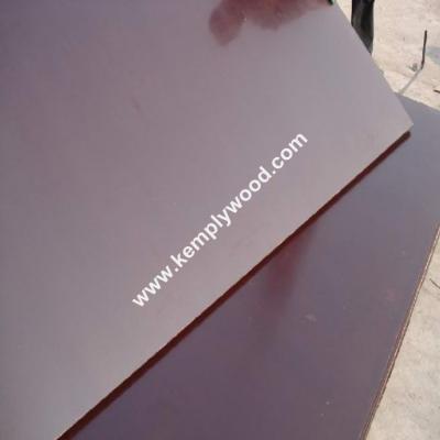China Black and brown film faced plywood , Construction water proof plywood, Phenolic film faced plywood for sale