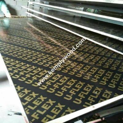 China Cheap Film Faced Plywood for Middle East/Africa, One time hot pressed veneer film faced plywood for sale