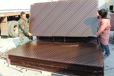 China Kemplywood, China famous brand film faced plywood, Best competitive construction shuttering plywood for sale