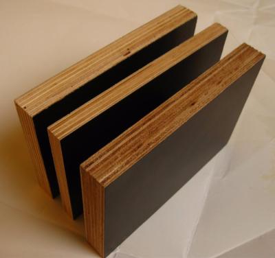 China WBP Melamine Eucalyptus Construction Timber Film Faced Plywood for sale