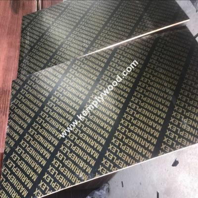 China Finger joint film faced plywood for construction 13-ply wood for sale