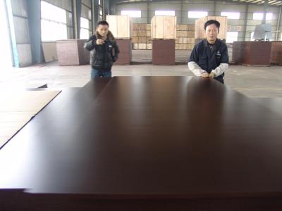 China Shandong Linyi factory price 18mm melamine plywood film faced plywood poplar/ low price birch plywood for sale