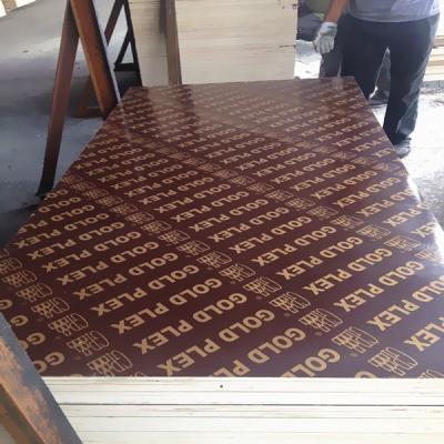 China 4ftx8ft cheap price film faced plywood sheet with customized brand name for sale