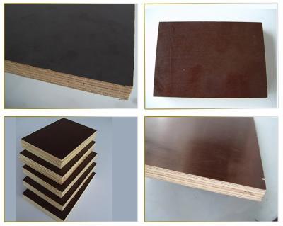 China Chinese golden supplier combi core 12mm film faced plywood price for sale