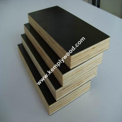 China The best price film faced plywood/marine plywood/ formwork plywood manufacturer for sale