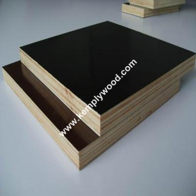 China 12mm/15mm/18mm Printed Logo Film Faced Plywood one time hot pressed shuttering plywood for sale